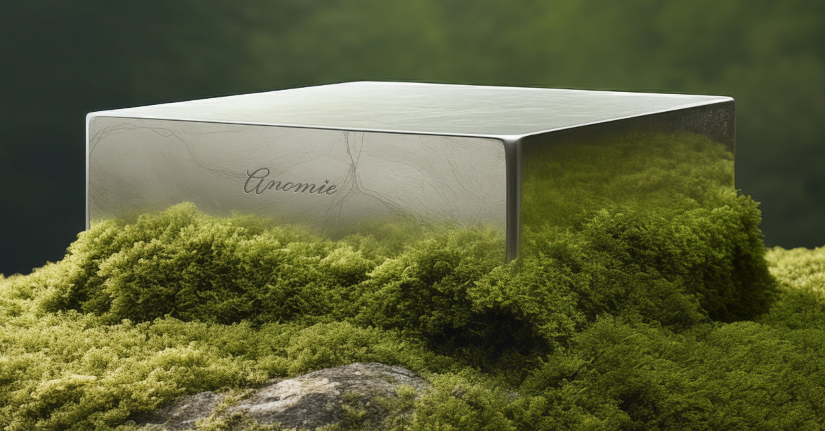 Anomie Gallery – anomiegallery